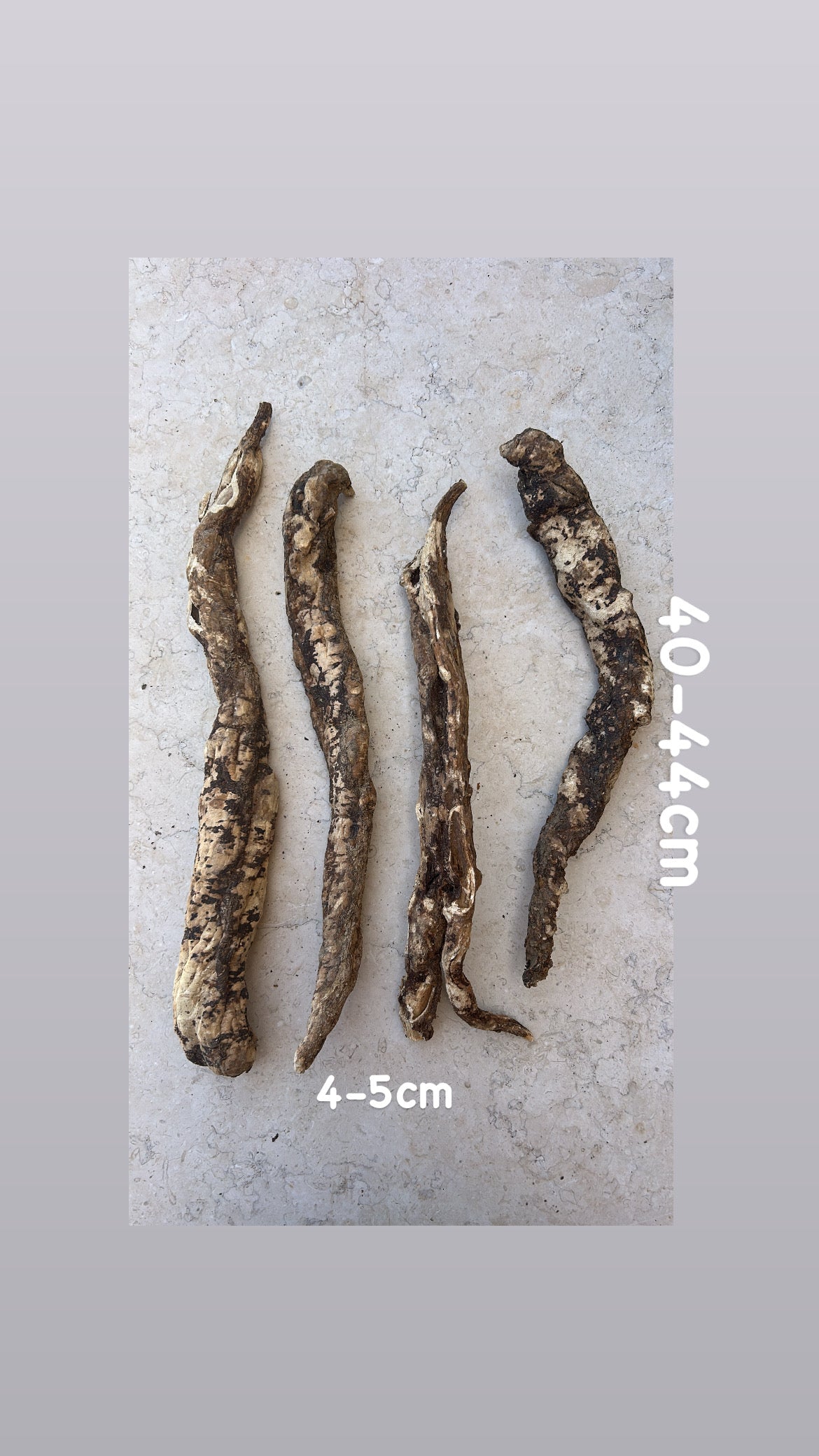 Wild Cretan Mandrake 4 Whole Roots 1.080 gr – Botano