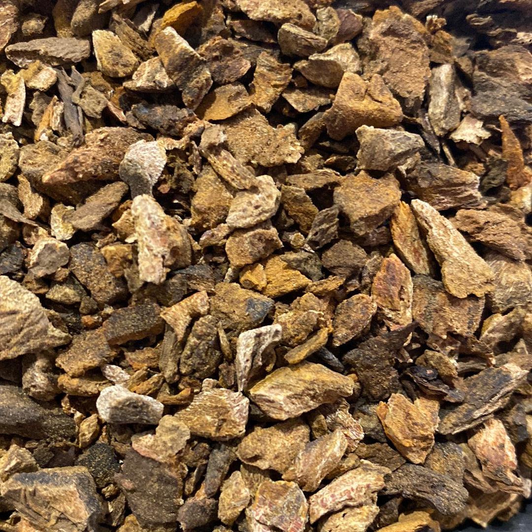 Rhubarb Root (Rheum Palmatum) – Botano