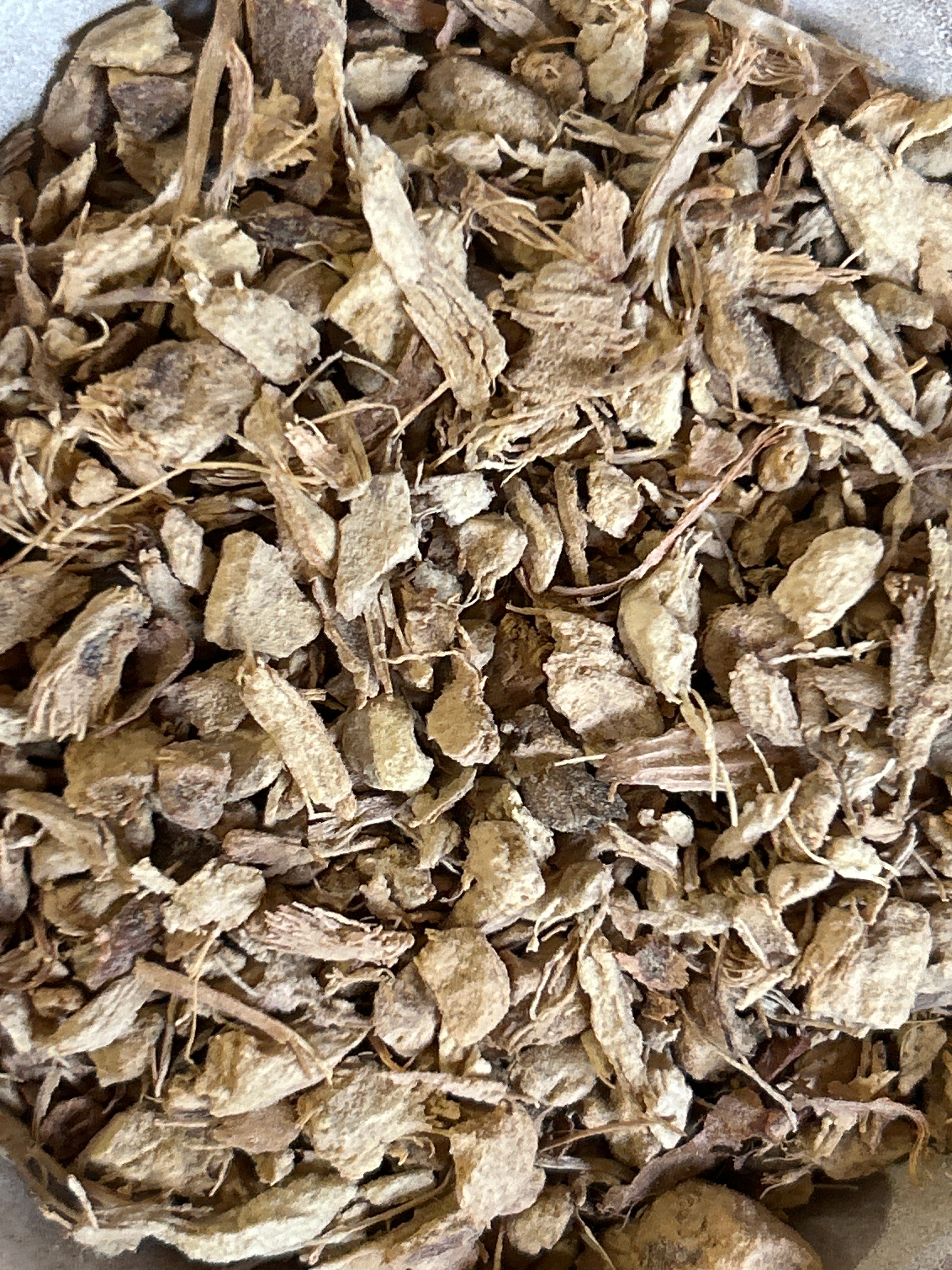 Galangal (Alpinia Galanga) Root or Powder – Botano