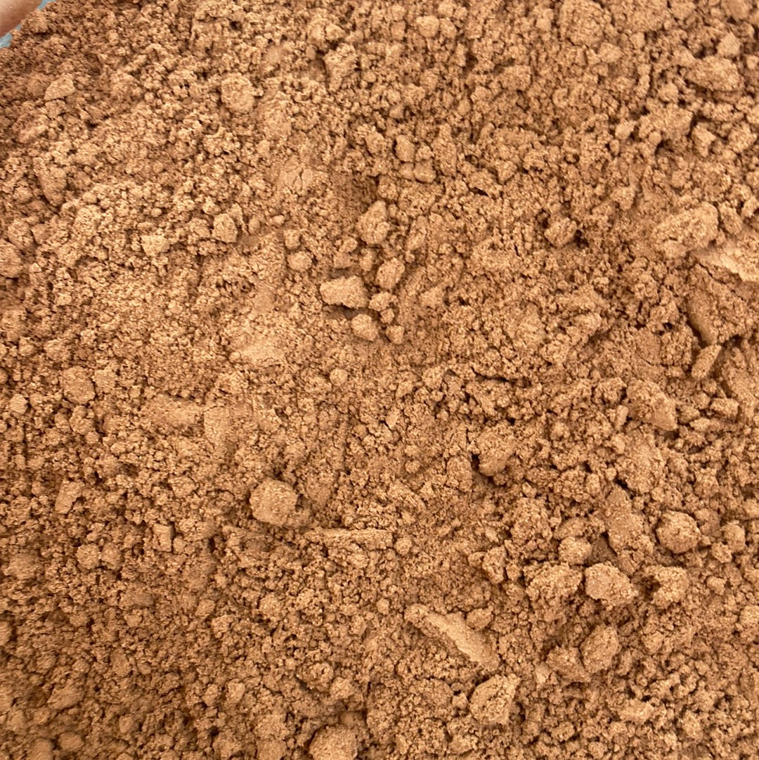 Reishi Mushroom Powder - Organic – Botano