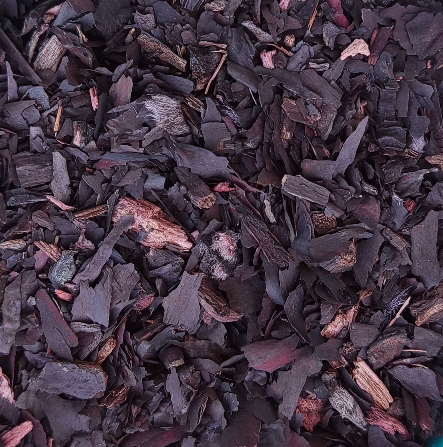 Dyer's Alkanet Root (Alkanna Tinctoria) – Botano